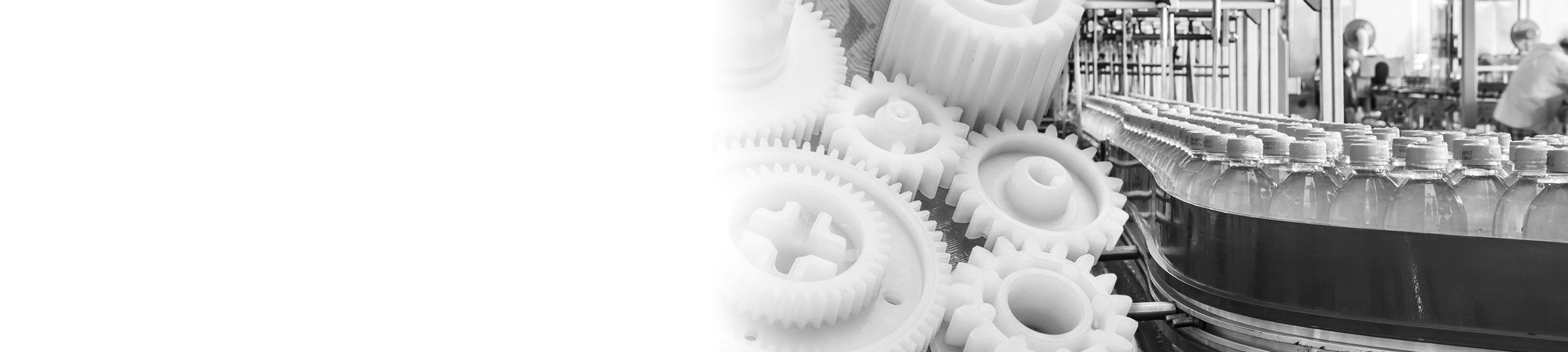 Piedmont Plastics: Innovating Solutions in Plastics Distribution